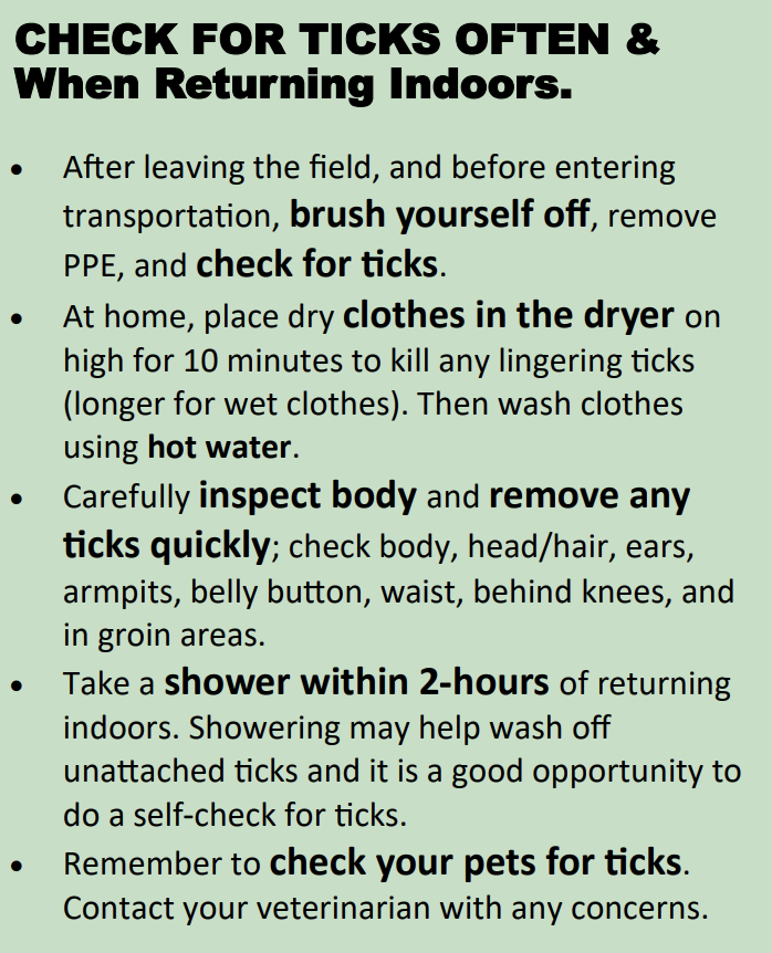 Tick Safety Guide – IMPACT VT