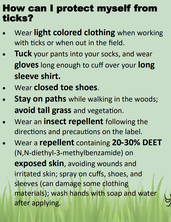 Tick Safety Guide – IMPACT VT