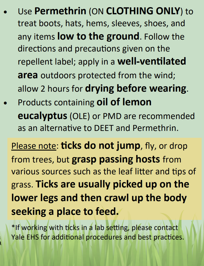 Tick Safety Guide – IMPACT VT